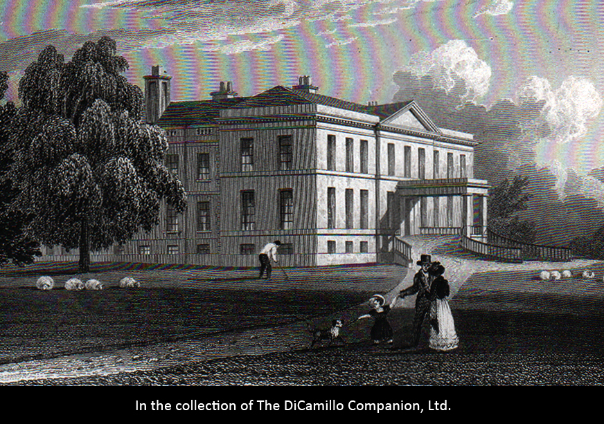 Acton Park (Acton Hall) - DiCamillo