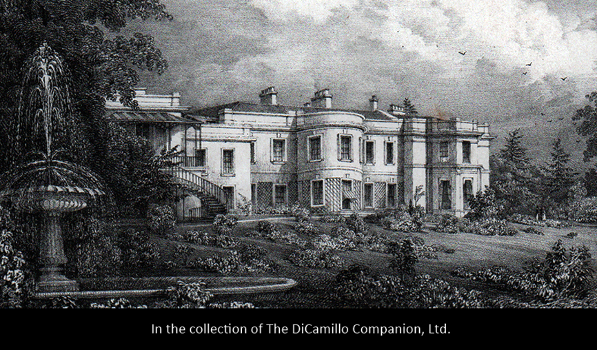 Basing House (Basing Park) - DiCamillo