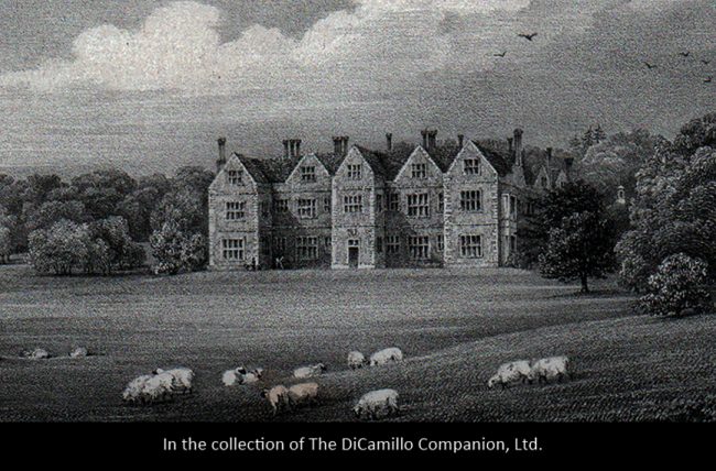 Breamore House - DiCamillo