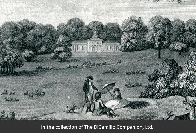 Bulstrode Park - DiCamillo