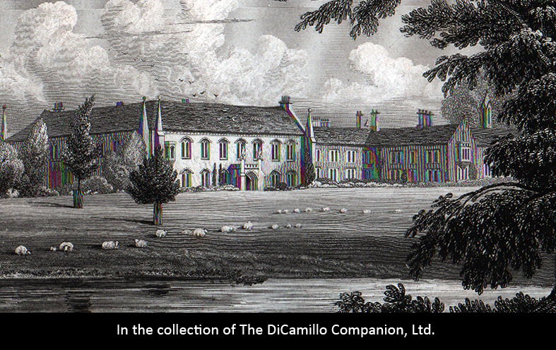 Chicksands Priory (Chicksand Priory) - DiCamillo