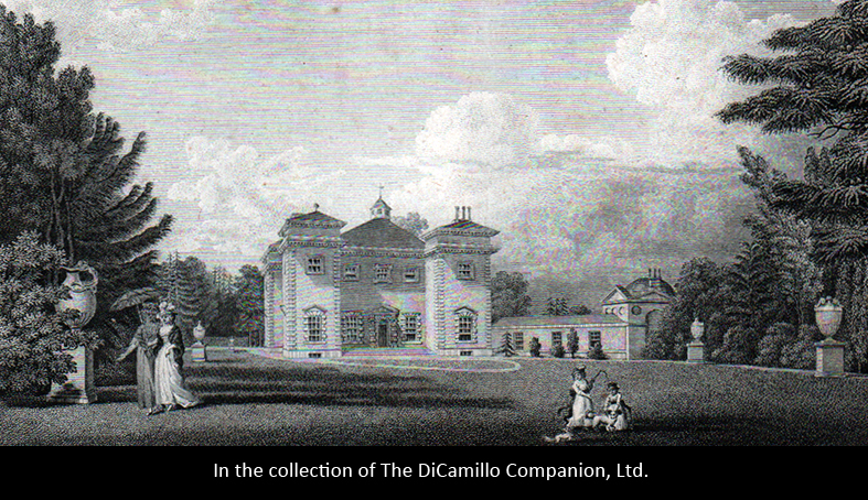 Combe Bank (Coombe Bank) (Comb Bank) - DiCamillo