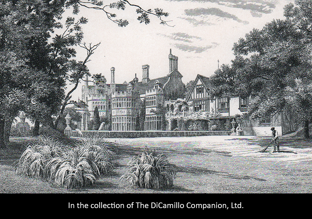 Coombe Warren (Warren House) - DiCamillo