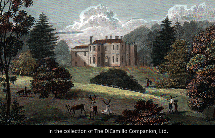 Downton Hall - DiCamillo