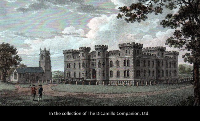 Enmore Castle - DiCamillo