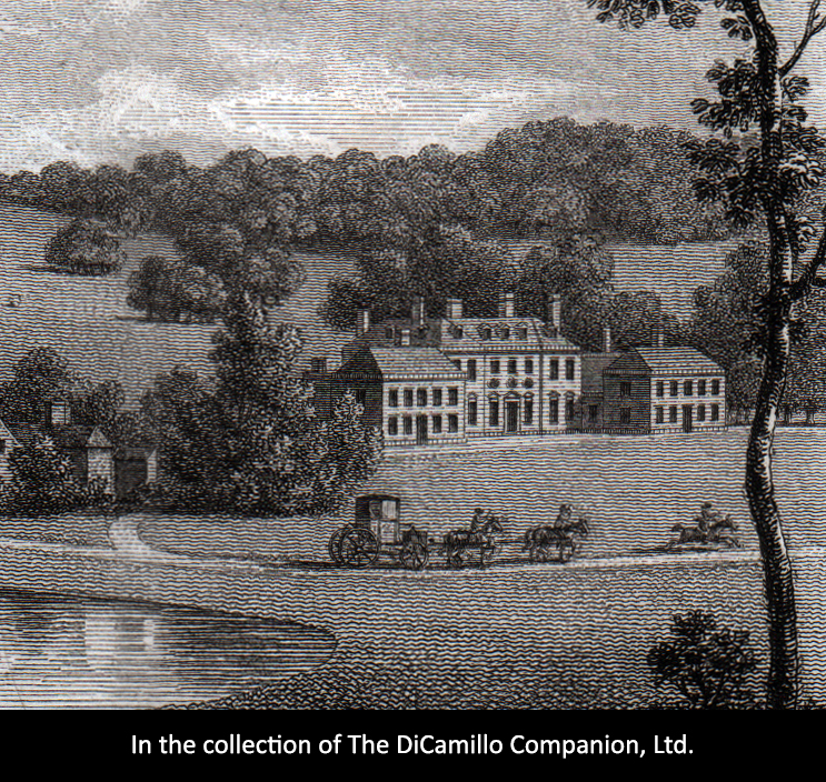 Godmersham Park - DiCamillo