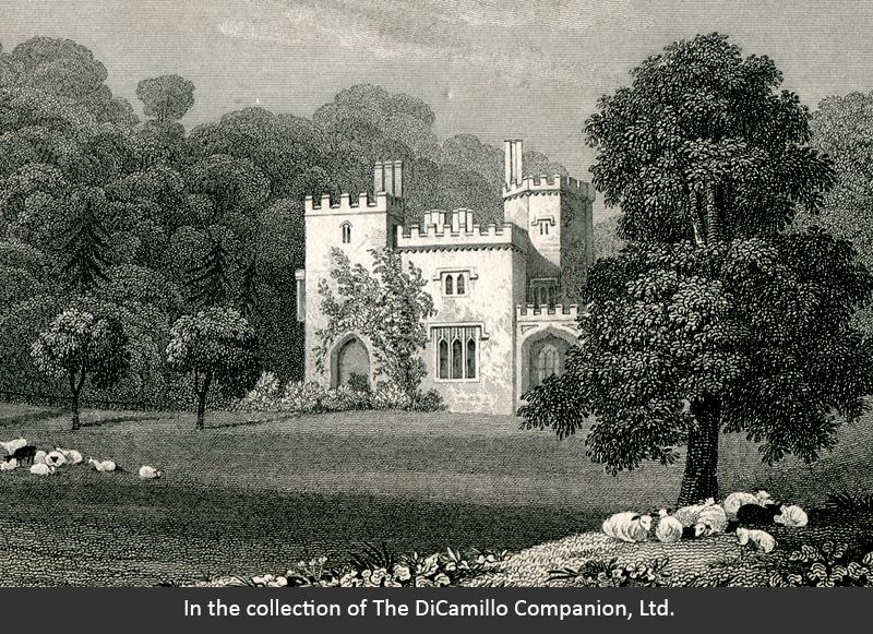 Luscombe Castle - DiCamillo