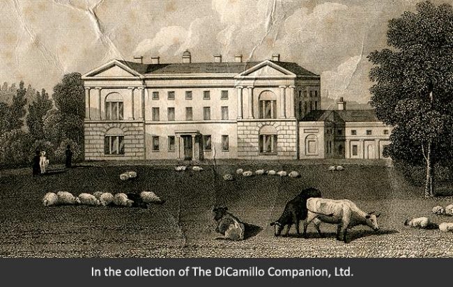 Moseley Hall - DiCamillo