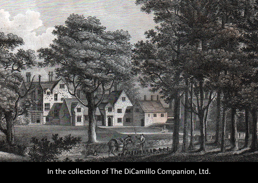Mostyn Hall - DiCamillo