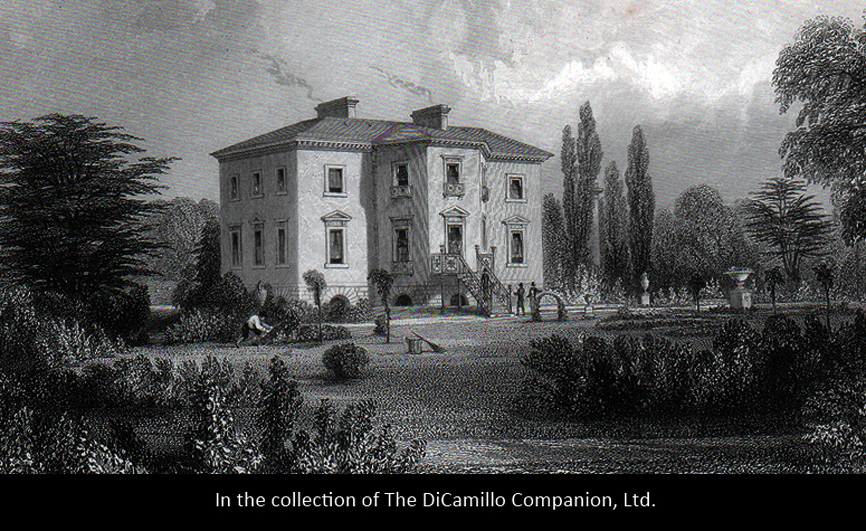 Mount Clare - DiCamillo