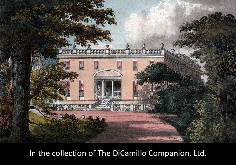 Nutwell Court - DiCamillo