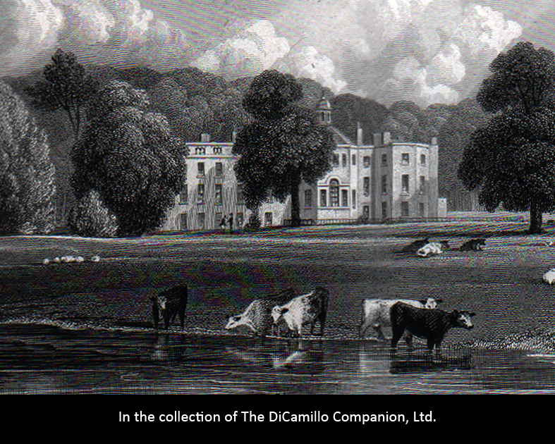 Poynton Hall (Poynton Towers) - DiCamillo