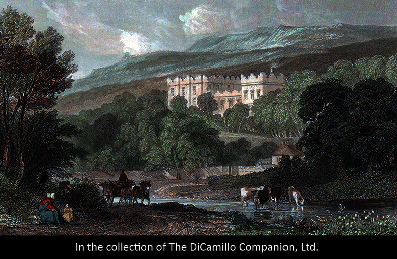 Stanhope Castle - DiCamillo