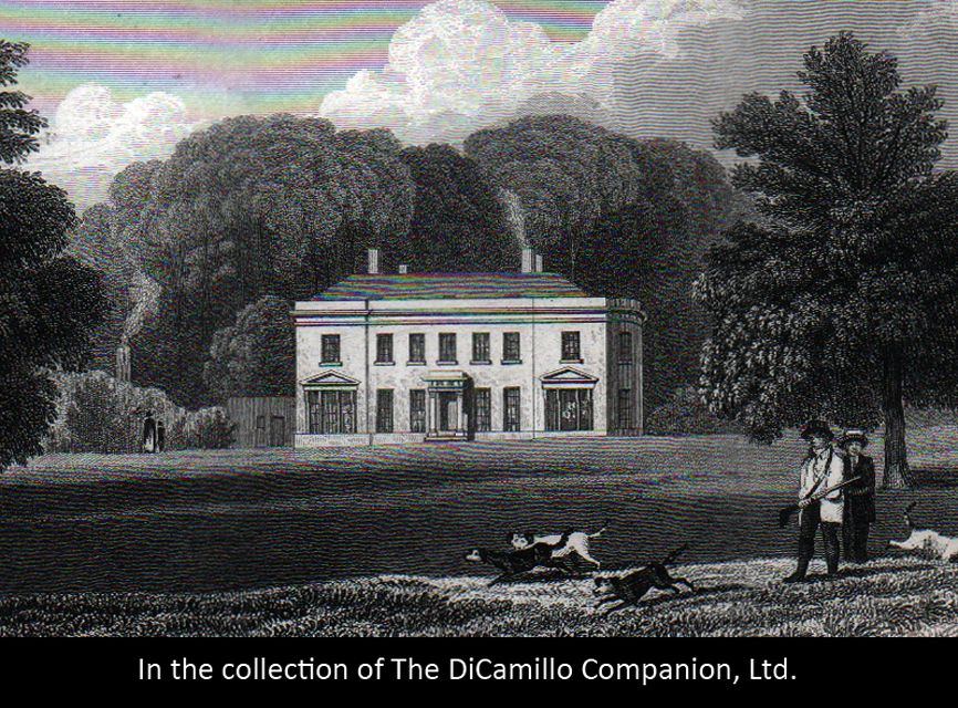 Sunninghill Park (Sunninghall Park) (Sunning Hill Park) - DiCamillo