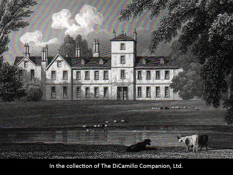 Toft Hall - DiCamillo