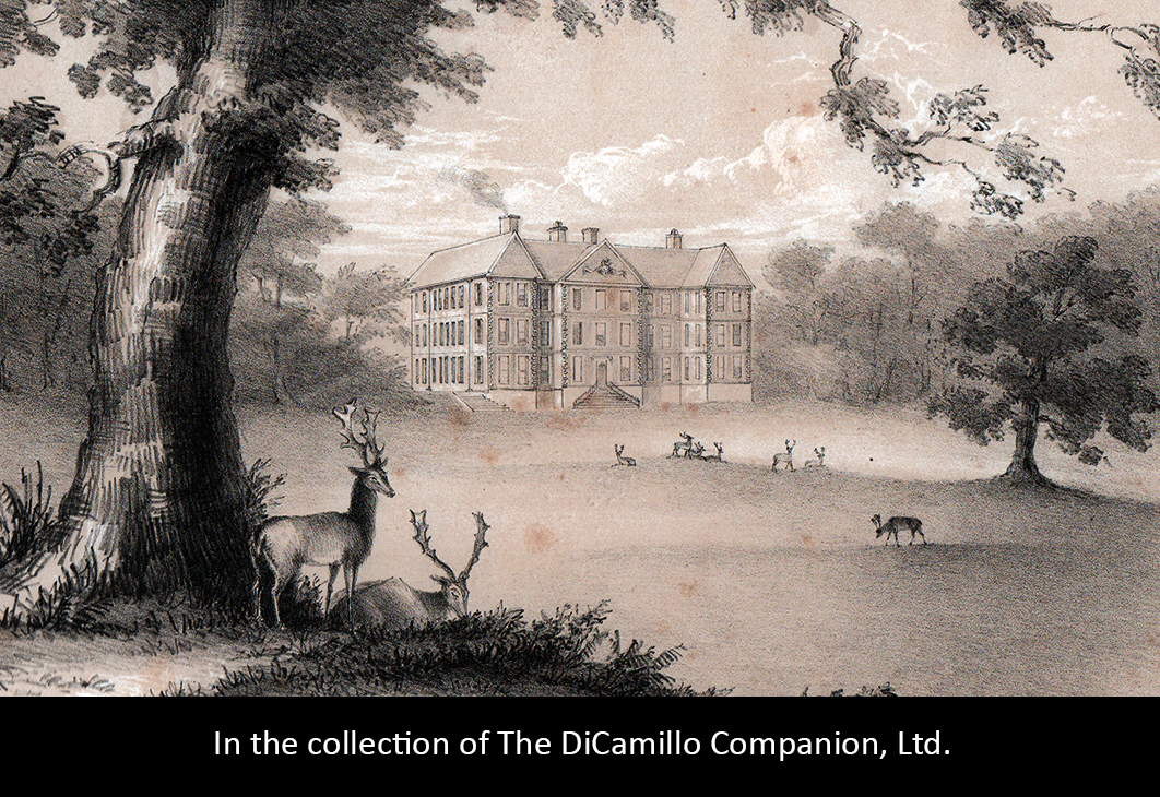 Wrottesley Hall - DiCamillo