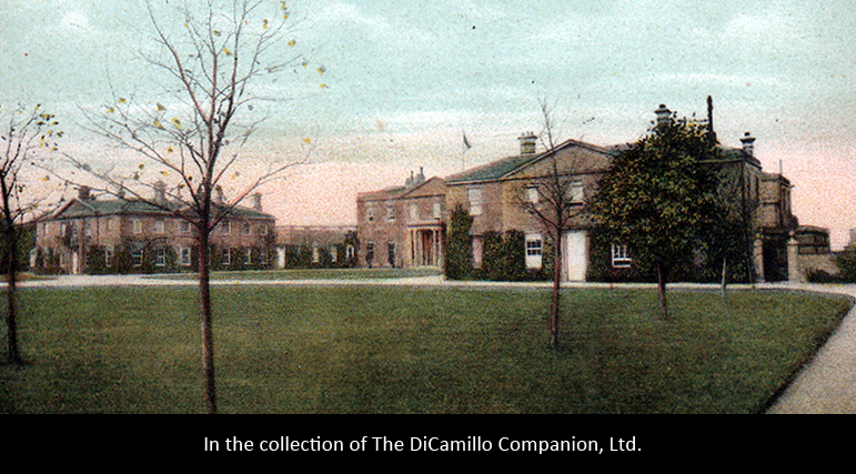 Buckminster Park - DiCamillo