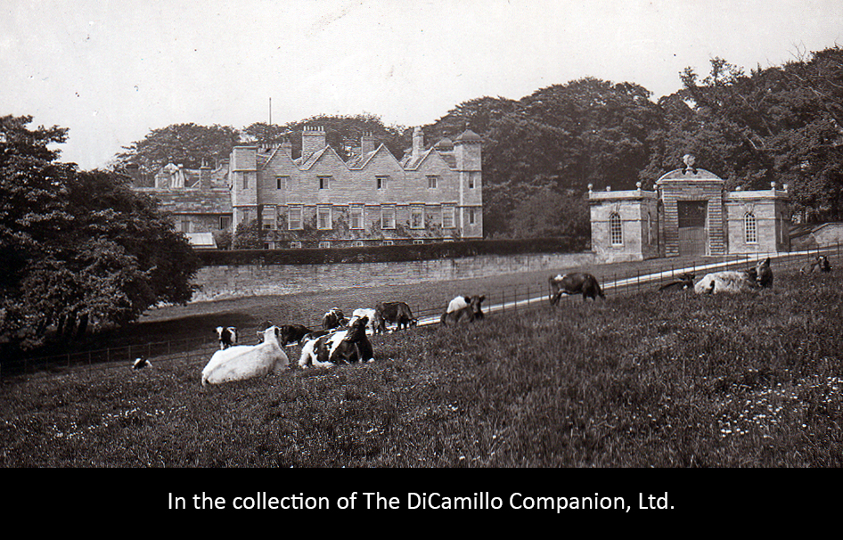 Ledston Hall - DiCamillo