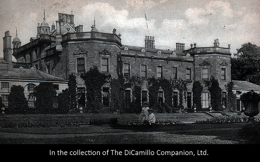 Netherby Hall - DiCamillo