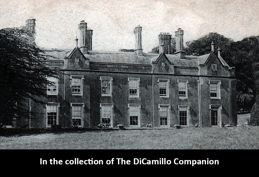 Peamore House - DiCamillo