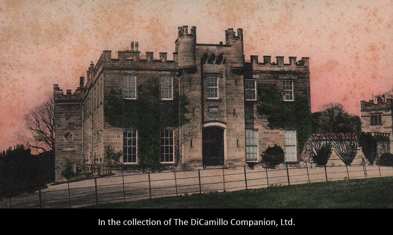 Skelton Castle - DiCamillo