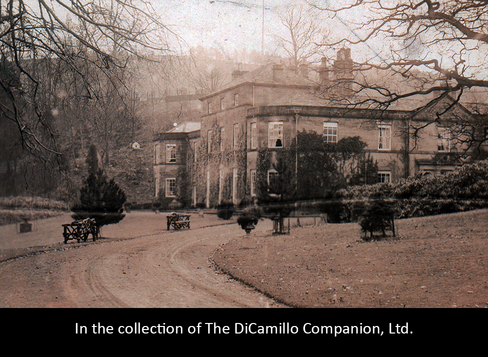 Thimbleby Hall - DiCamillo
