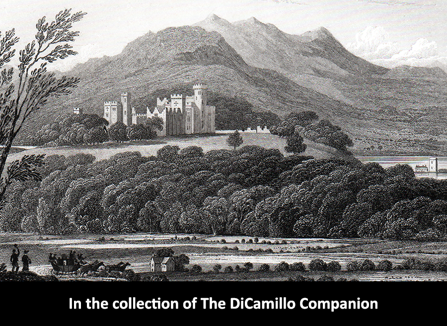 Flesk Castle (Coltsman's Castle) - DiCamillo