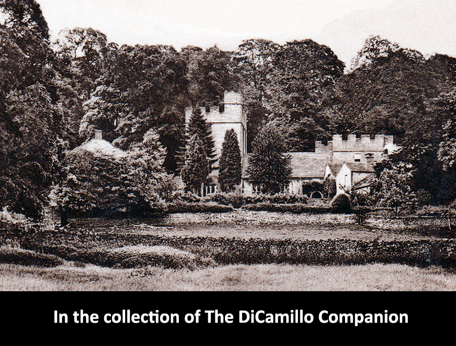 Nappa Hall (Nappay Hall) - DiCamillo