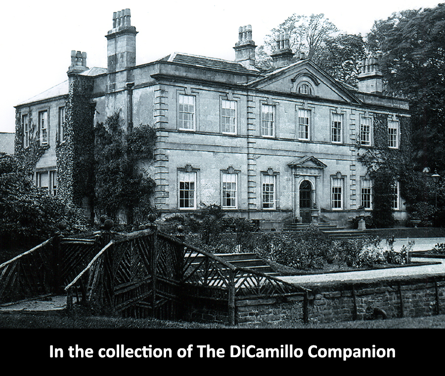 Stubbing Court (Stubbing Court) - DiCamillo