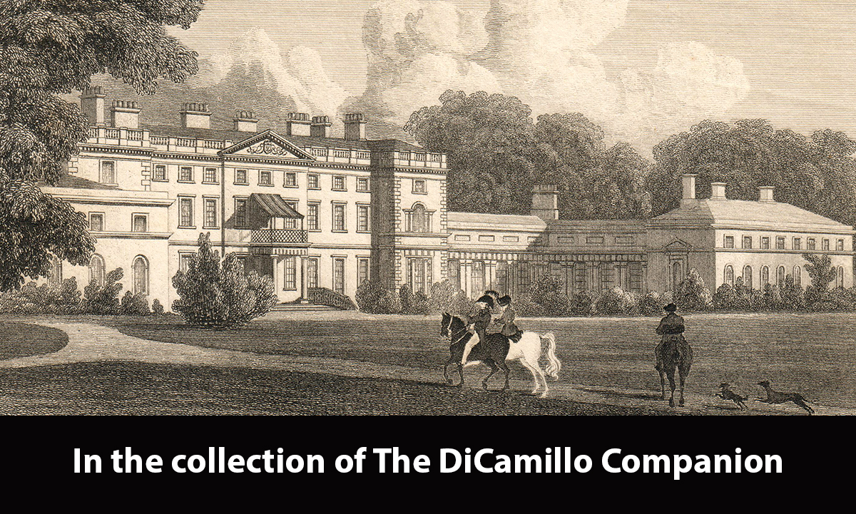 Carton House - DiCamillo