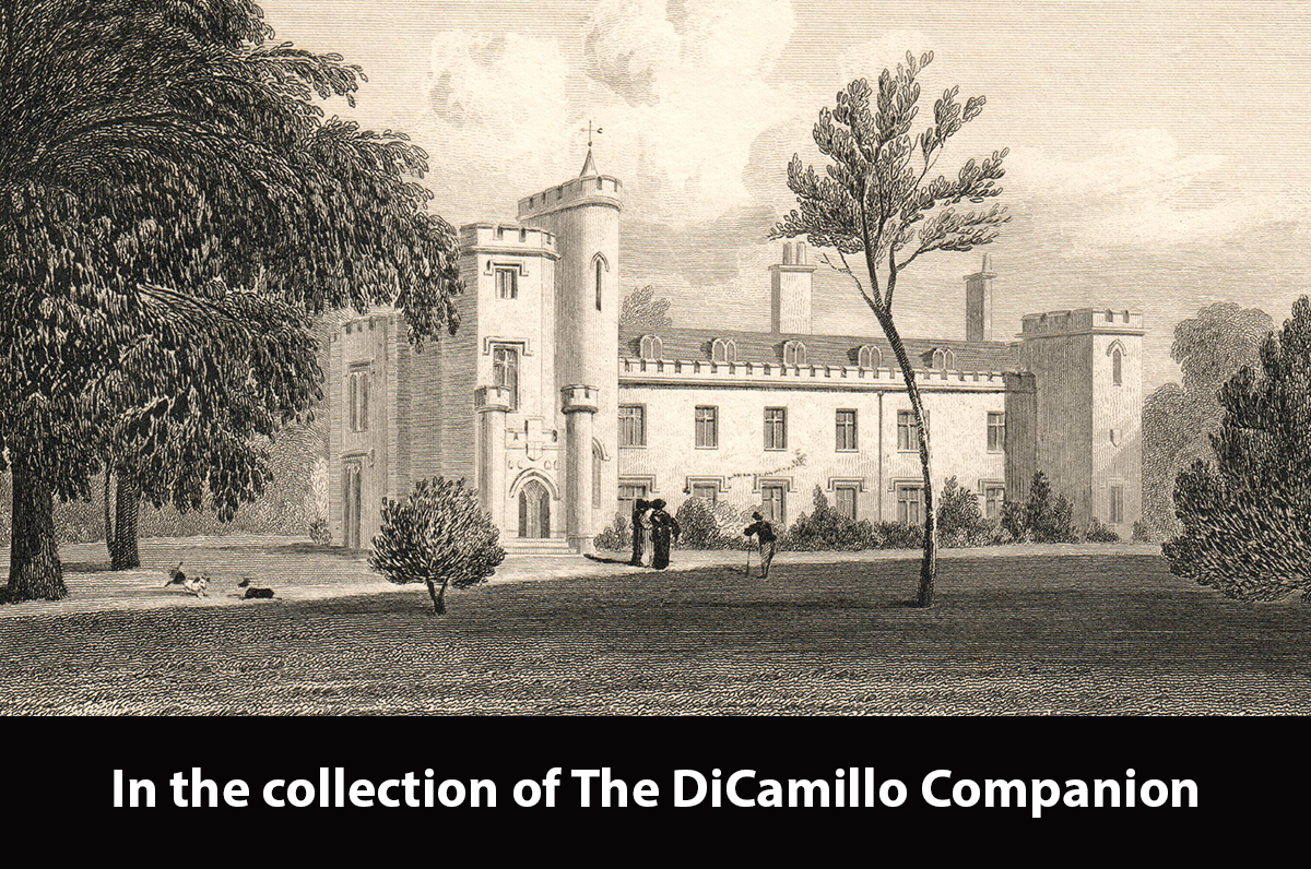 Oxney Court (Oxney Park) - DiCamillo