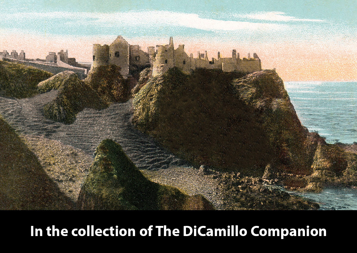 Dunluce Castle - DiCamillo