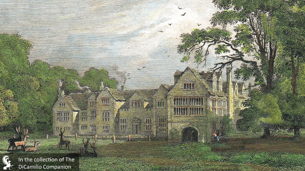 Loseley Park (Loseley House) - DiCamillo