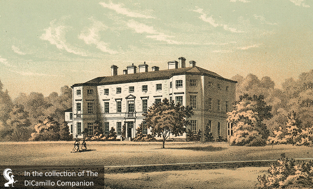 Swinburne Castle (Swinburn Castle) - DiCamillo