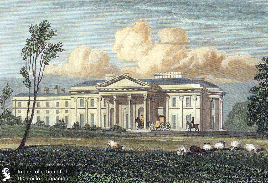 Willey Park (Willey Hall) (Willey Old Hall) - DiCamillo