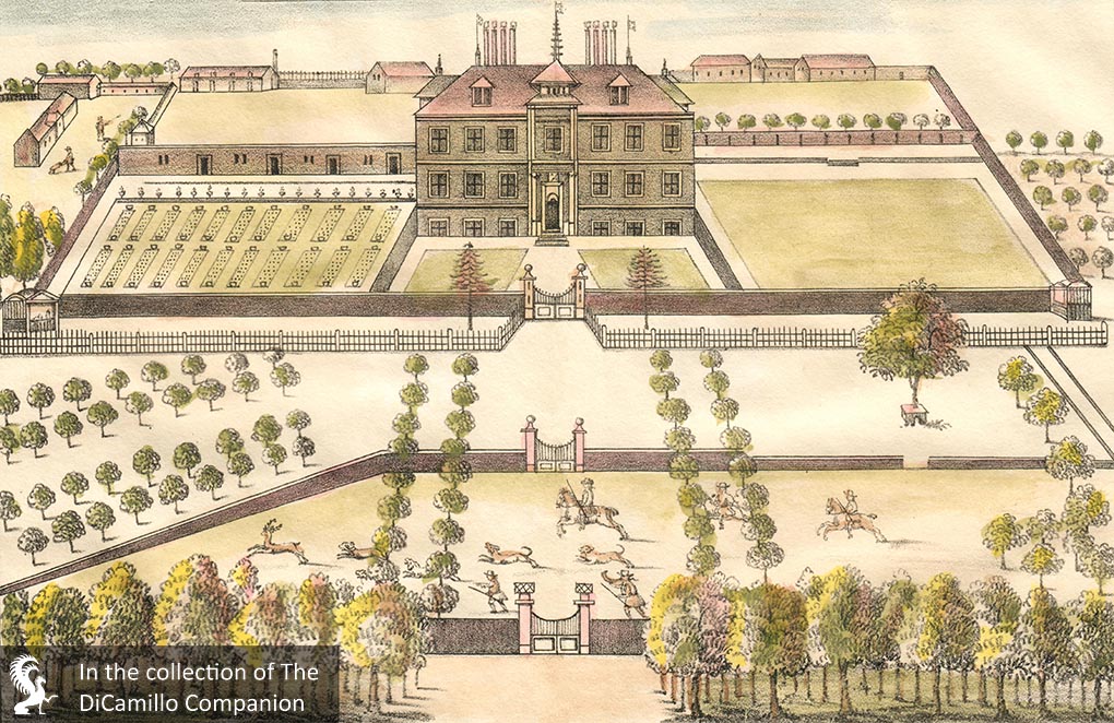 Stagenhoe Park (Stagen Hoe) (Stagenhoe Manor House) - DiCamillo