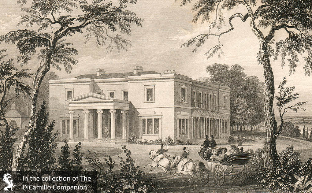 Stisted Hall - DiCamillo