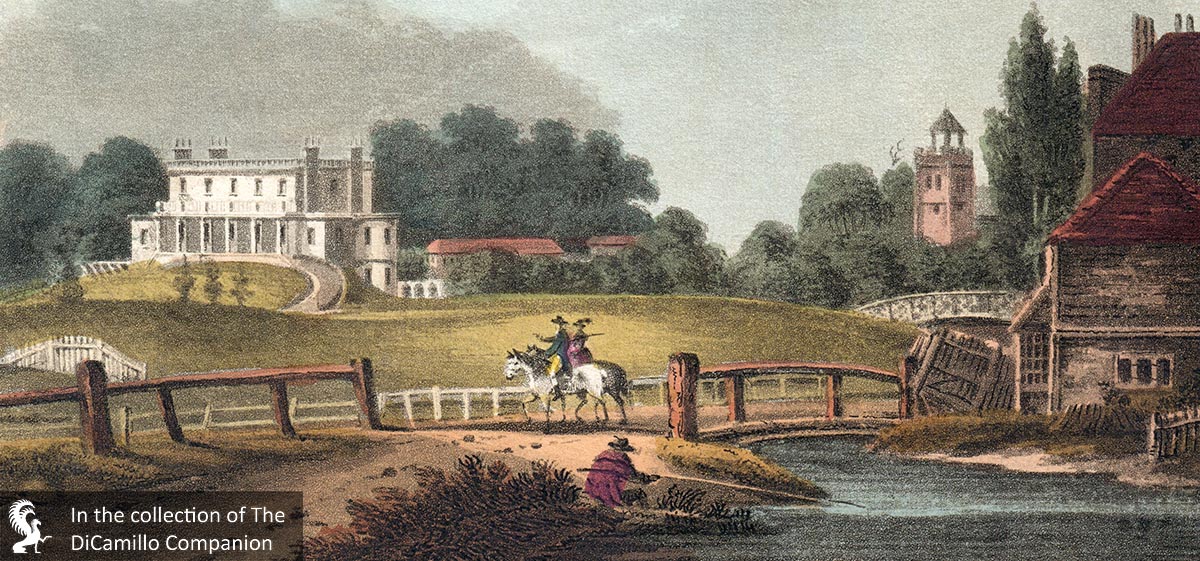 Clissold House (Paradise House) - DiCamillo