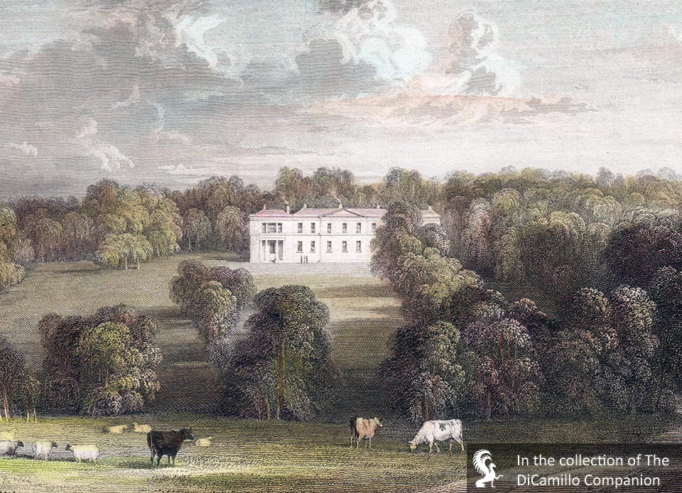 Trewarthenick House - DiCamillo