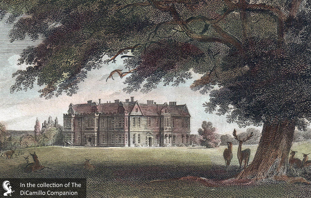 Albyns (Albyns Manor) - DiCamillo