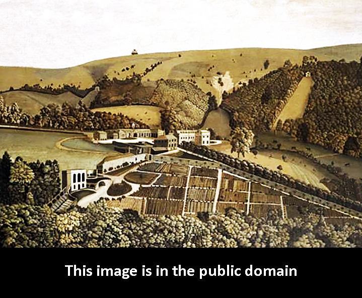 Ashcombe House (Ashcombe Park) - DiCamillo
