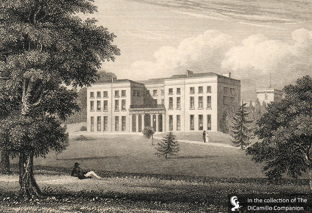 Amport House (Amport Park) - DiCamillo