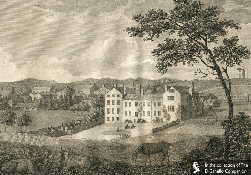 Royton Hall - DiCamillo