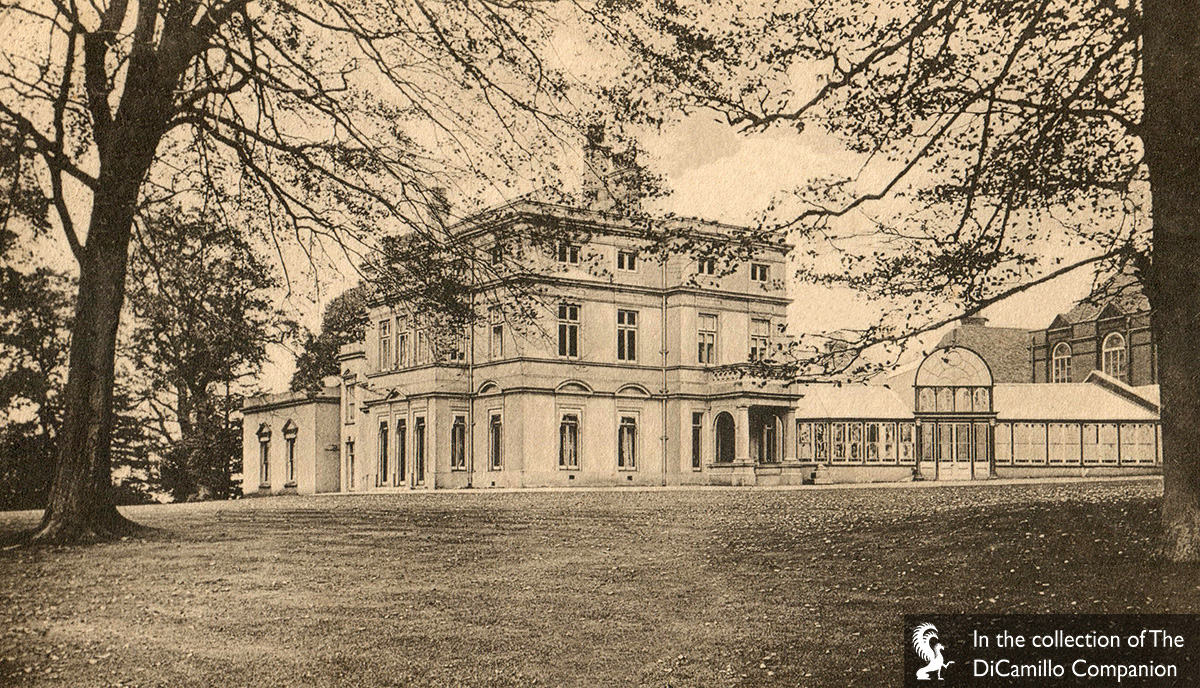 Moat Mount House (Mote Mount House) - DiCamillo