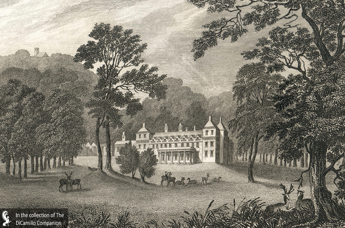 Sandwell Park (Sandwell Hall) - DiCamillo