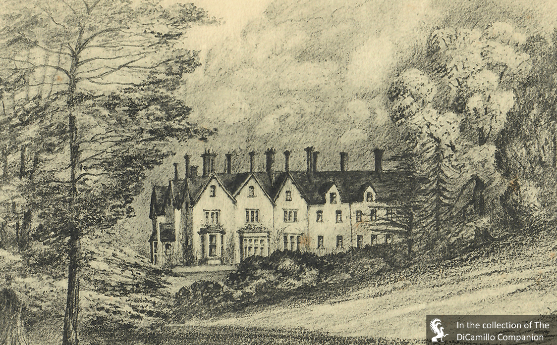 Wallop Hall - DiCamillo