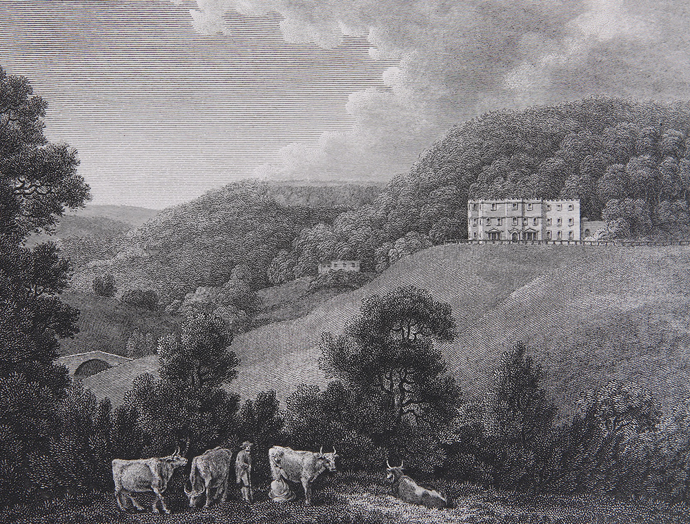 Clints Hall (Clints House) - DiCamillo