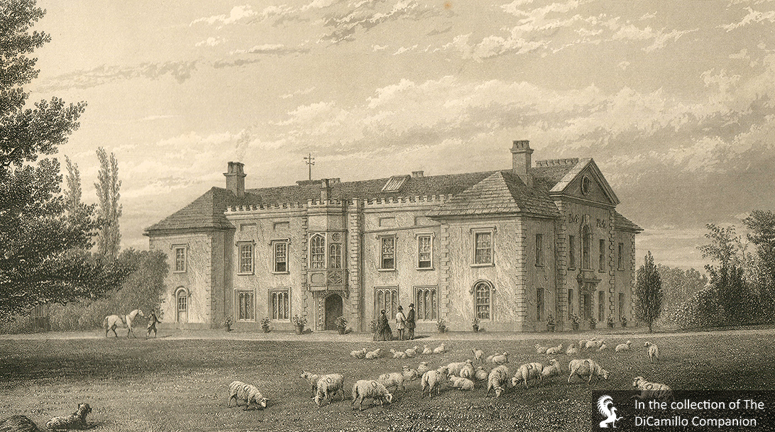 Thornhill House (Thornhill Park) - DiCamillo