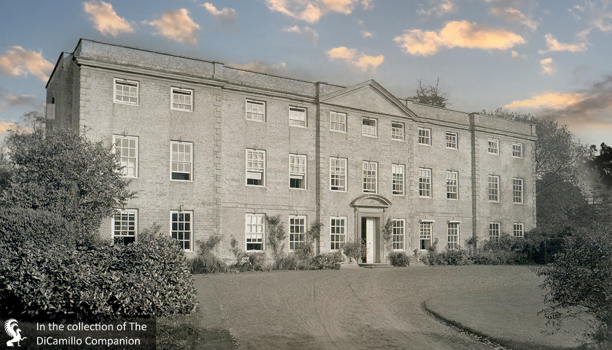 Haseley Court - DiCamillo